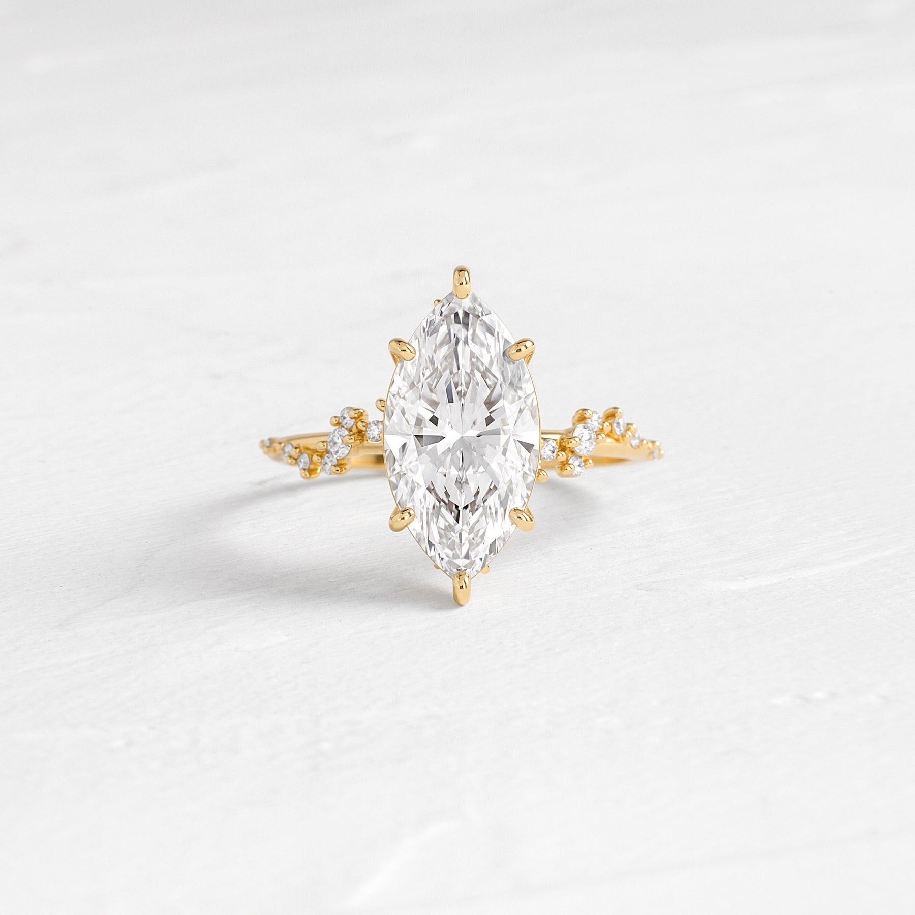 New Arrivals – Melanie Casey