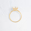 Poppy Seed Ring | Handcrafted Diamond Engagement Ring | Melanie Casey