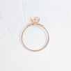 Poppy Seed Ring | Handcrafted Diamond Engagement Ring | Melanie Casey